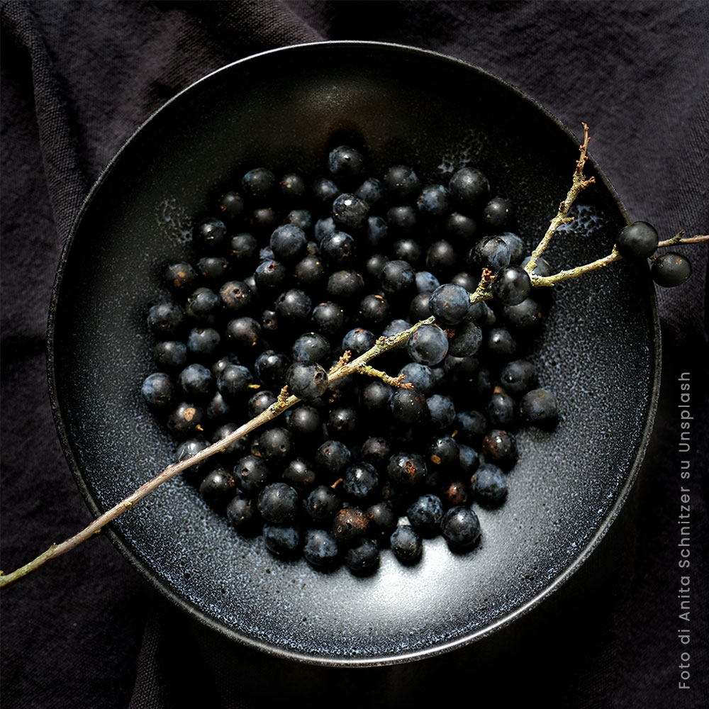 Sambuco nero: una pianta naturale sperimentata e un moderno superfood